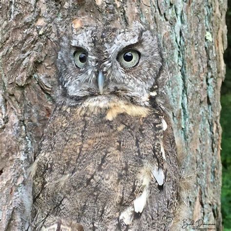 Polystyrene With Acetone Rchemicalreactions