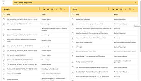 Ebrains Model Catalog Use An Existing Model With The Ebrains Research Infrastructure