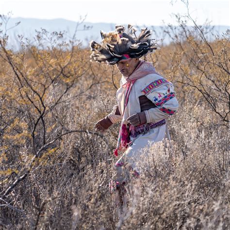 Peyote Trip