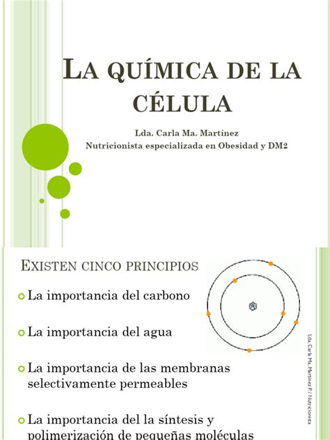 La Química De La Célula Pdf Bicapa Lipídica Proteínas