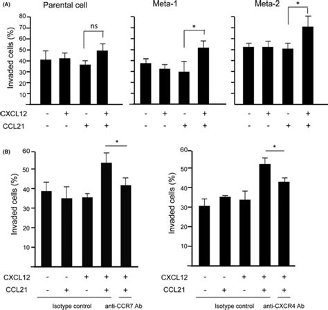 Cxcl12 Promotes Ccr7 Ligand Mediated Breast Cancer Cell Invasion And Migration Toward Lymphatic