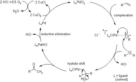 Wacker Tsuji Oxidation