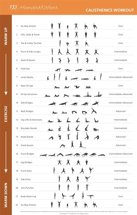 Calisthenics Workout Plan For Beginners Free Pdf