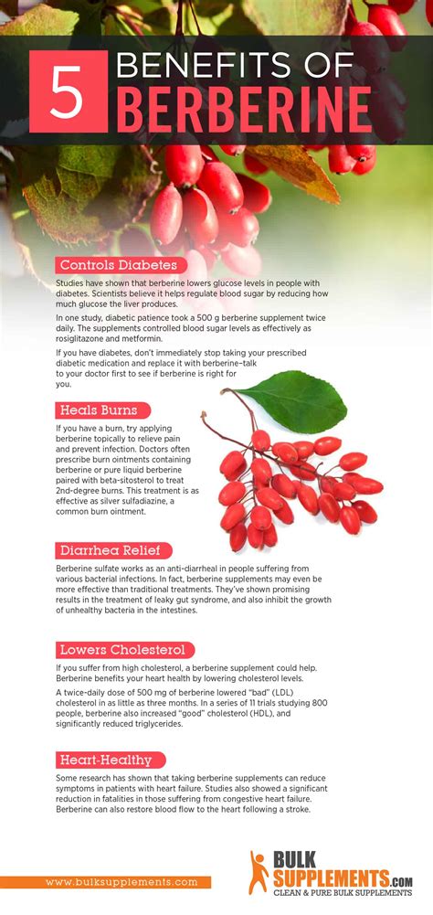 Berberine Health Benefits
