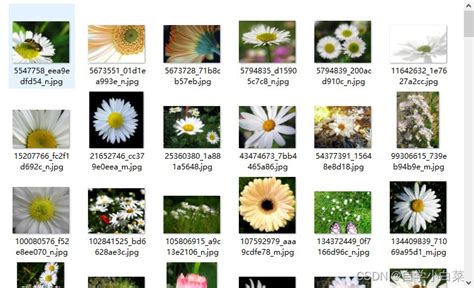 Pytorch实战8：手把手教你基于pytorch实现resnet（长文）resnet代码pytorch Csdn博客