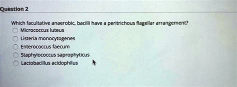 Question 2 Which Facultative Anaerobic Bacilli Have Peritrichous