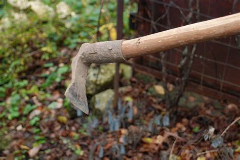 Сапка, тяпка, мотыга – разбираемся в отличиях + Видео