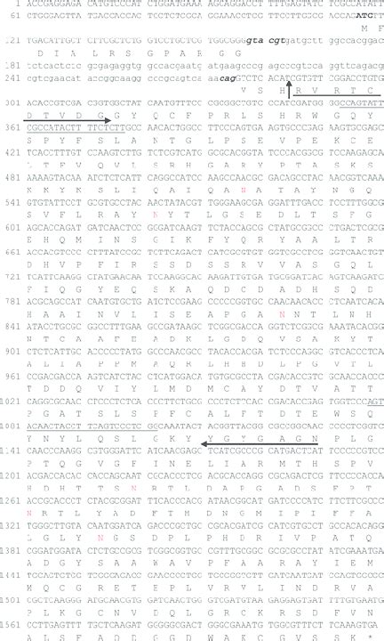 Nucleotide Sequence And Deduced Amino Acid Sequence Of Phya From P Download Scientific Diagram