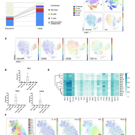 Immunosuppressive Microenvironment Of Initial And Recurrent Gbm Using
