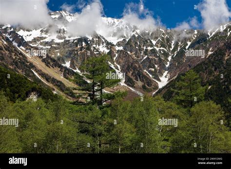 Tall Trees And Forest In Front Of Steep Snowy Mountain Peaks Japanese