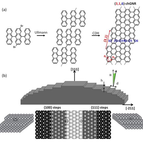 A Reactant Dbta And Reaction Scheme Towards The 316 Chgnr