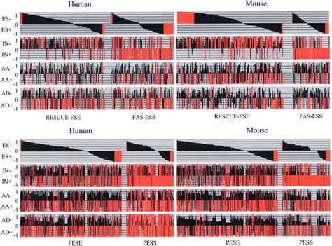 Characteristics And Regulatory Elements Defining Constitutive Splicing And Different Modes Of