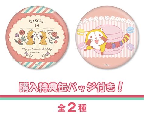 ラスカルのバレンタインスイーツ2024予約開始！可愛いラスカル＆リリィカップルのケーキ・マカロンを数量限定販売 日本アニメーション株式会社