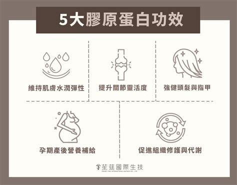 膠原蛋白什麼時候吃最有效？5大膠原蛋白功效與黃金吸收時間！