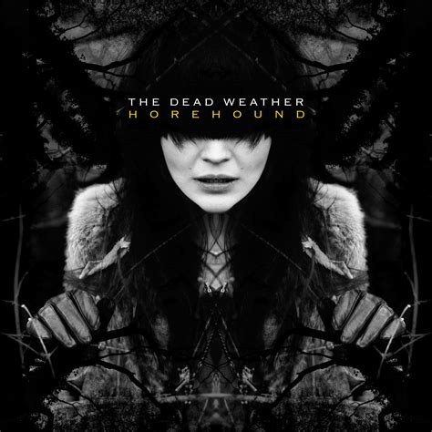 The Dead Weather Horehound 2lp 台灣索尼音樂娛樂股份有限公司