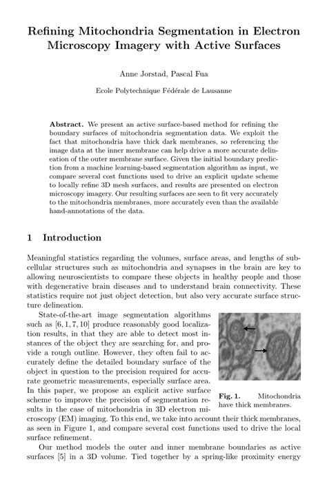 Pdf Refining Mitochondria Segmentation In Electron Microscopy Imagery