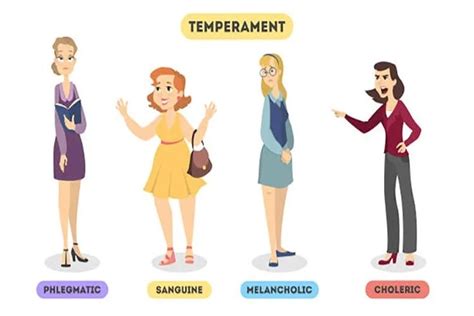 The Four Temperaments Qualities Strengths And Weaknesses Human