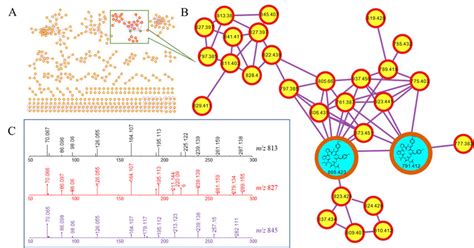 Molecular Networking Based Prioritization Of The Etoac Extract Of Download Scientific Diagram