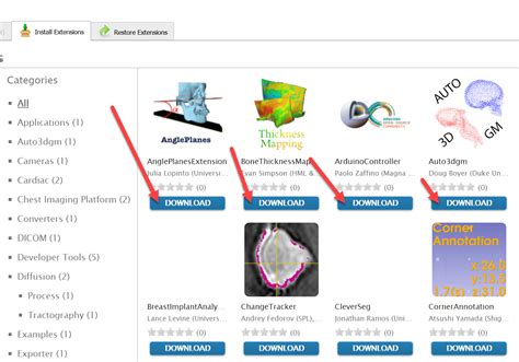 Instantiating A Slicerqslicerwebwidget Breaks Extensions Manager · Issue 5632 · Slicer
