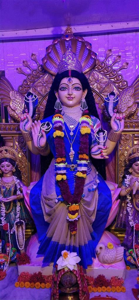 Maa Mansa Devi Photo