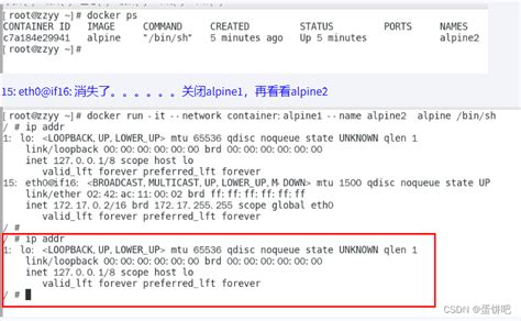 Docker网络docker network docker 设置network CSDN博客