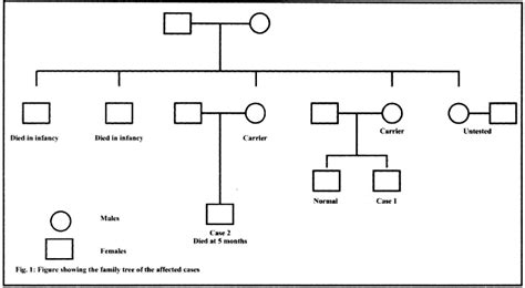 Table 1 From X Linked Severe Combined Immune Deficiency Scid A