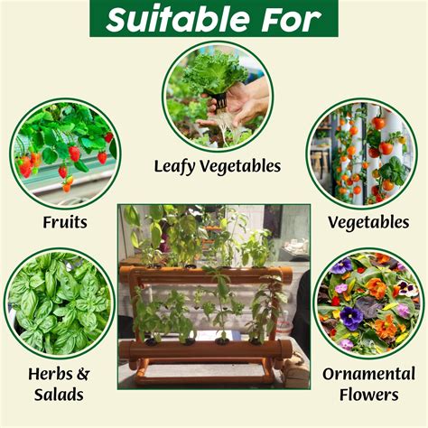Hydroponic Solid Mixture A And B Garden Genie