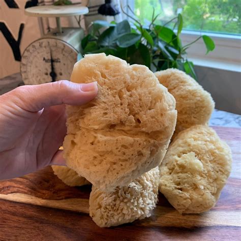 Caribbean Grass Body Sponge Millers Grove