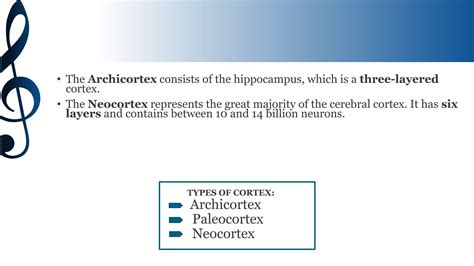Corticospinal Tract Pyramidal Tract Pptx