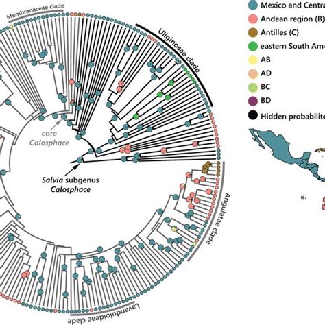 Ancestral Area Reconstruction Analysis Under The Bayesian Binary Mcmc Download Scientific