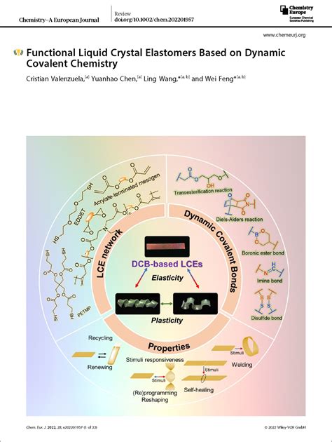 Frontispiece Functional Liquid Crystal Elastomers Based On Dynamic Covalent Chemistry