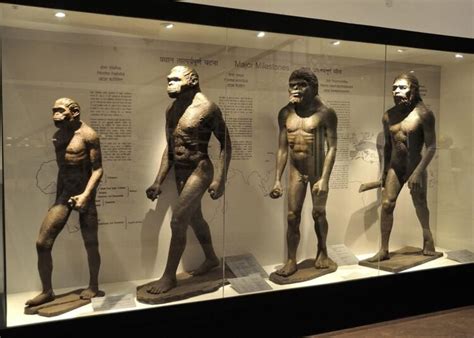 Homo Juluensis Scientists Discovered A New Species Of Archaic Human