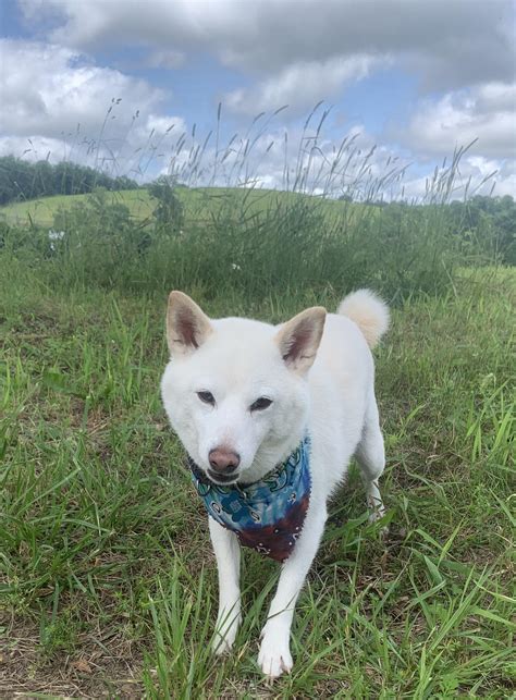 Code Geass Cafe In Japan Rcodegeass