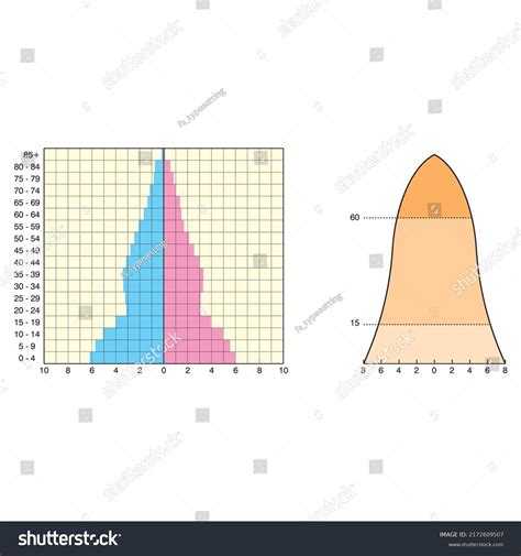 Types Population Pyramids That Can Be Stok Vektör Telifsiz 2172609507