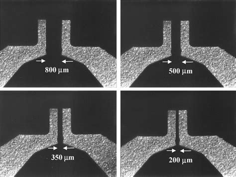 Various Displacement Modes Of The Microgripper Download Scientific Diagram