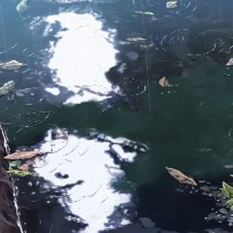 Stream Likeiam Meeha Rmx By Dnkus Listen Online For Free On