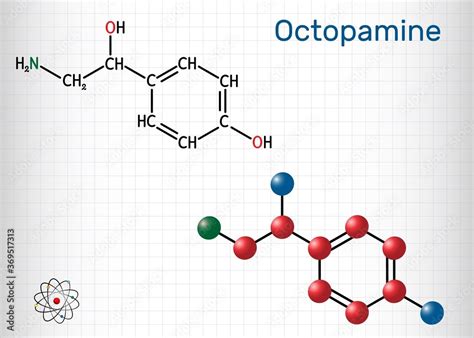 Octopamine Molecule It Is Biogenic Phenylethanolamine Sympathomimetic