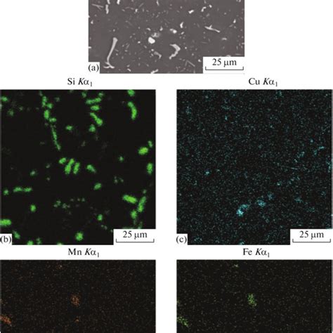 A Microstructure Of The Al 8si 35cu 02mn Alloy After Hip Treatment