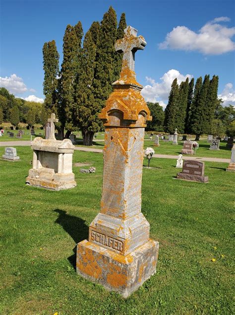 Nancy Anna Oleary Schafer 1862 1890 Find A Grave Memorial