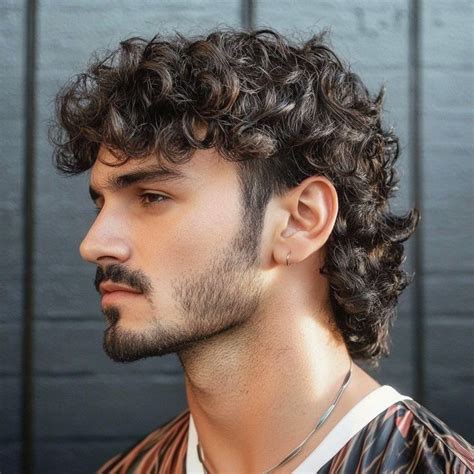 The Curly Hair Mullet A Bold Look For Men Curly Hair Styles Curly