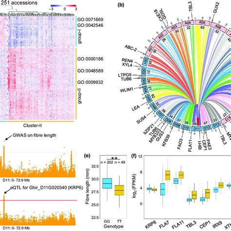 Identification Of Eqtl Using Rna Seq Data In Cotton Fibre Development Download Scientific