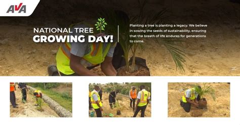 Associated Vehicle Assemblers Limited On Linkedin Planting A Tree Is