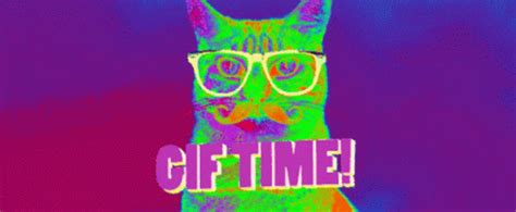 Pussycat Kitty Cat  Pussycat Cat Kitty Cat Discover And Share S