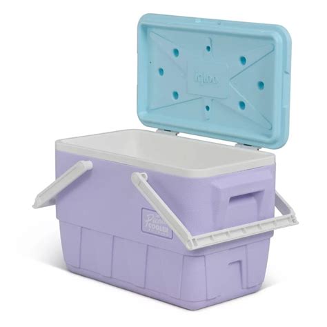 Target Takes Us Back To The 90s With Cute New Picnic Cooler Parade