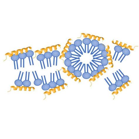 Antimicrobial Peptides Antibacterial Peptides Qyaobio