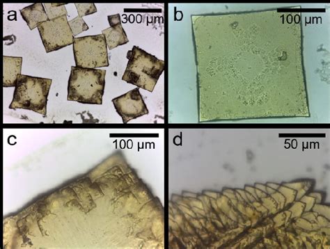 Figure 1 From The Crystal Structure Of Solved By 3d Electron