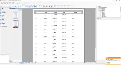 Grouping In Section Report Activereports V7 Developer Mescius Forums