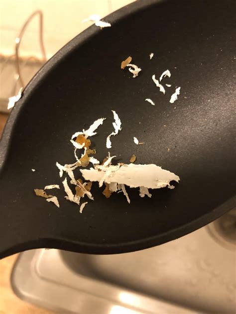 Found Jam Packets Shredded After Coming Home They Were Totally Ok