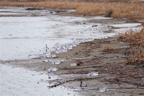 Volunteer Water Bottle Spill Cleanup Day 1 Shirley Heinze Land Trust
