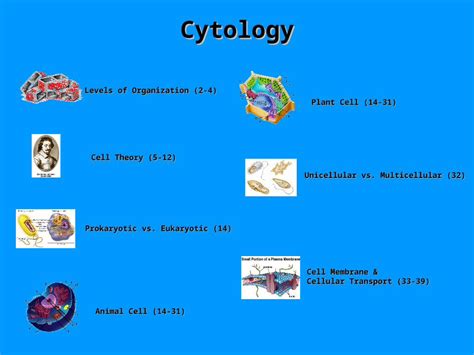 ppt cytology levels of organization 2 4 cell theory 5 12 prokaryotic vs eukaryotic 14